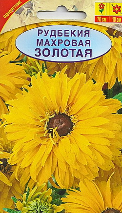 Рудбекия Золотая махровая купить в интернет магазине Чистый Мир.