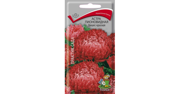 Астра пионовидная Дюшес красная купить с доставкой в гипермаркете ...