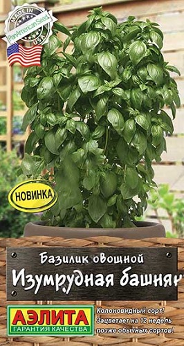 Базилик овощной Изумрудная башня купить с доставкой в интернет-магазине ...