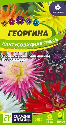 Георгина Кактусовидная смесь (Семена Алтая) купить с доставкой в ...