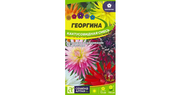 Георгина Кактусовидная смесь (Семена Алтая) купить с доставкой в ...