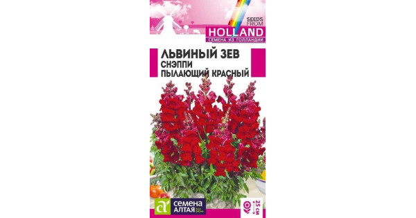 Львиный зев Снэппи Пылающий красный купить с доставкой в интернет ...