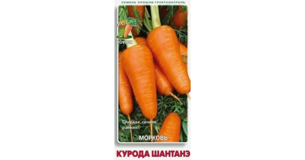 Морковь Курода Шантанэ купить с доставкой в интернет-магазине Чистый Мир.