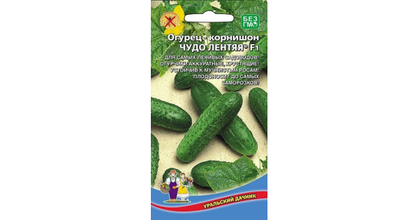 Купить Огурец Чудо лентяя