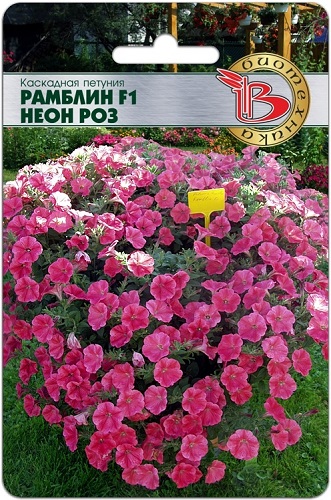 Петуния Рамблин F1 Неон Роз купить с доставкой в интернет-магазине ...
