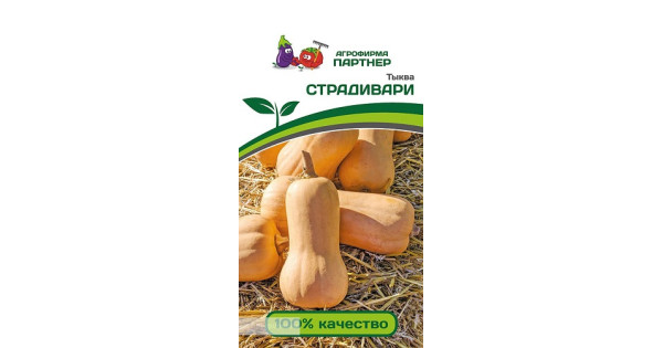Тыква СТРАДИВАРИ купить с доставкой в интернет-магазине Чистый Мир.